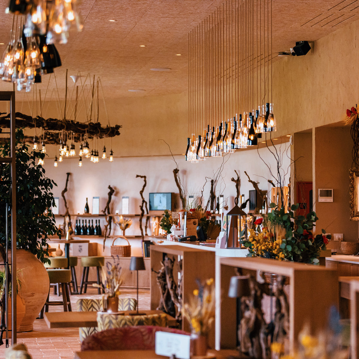Events in the Cantina for Autumn 🍁 – CONTI THUN