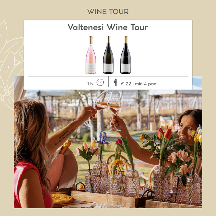 Wine Experience | Esperienze in cantina | Picnic in vigna | Cena in ...